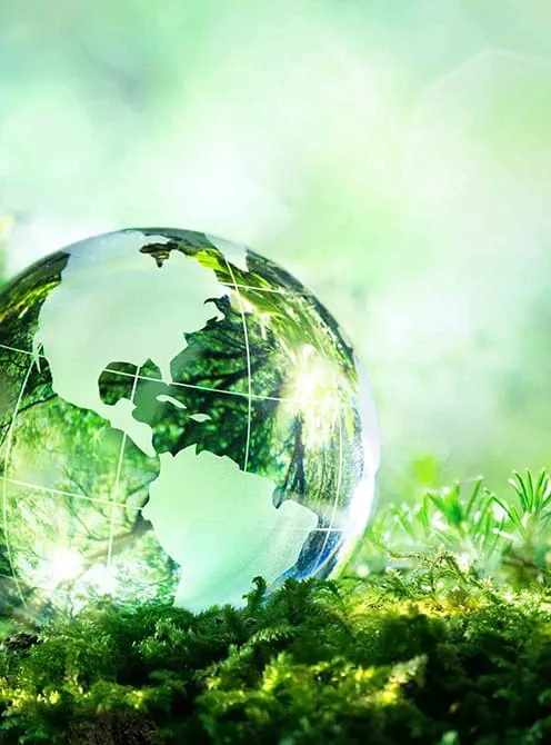 Verantwoordelijkheid voor het milieu bij Festool